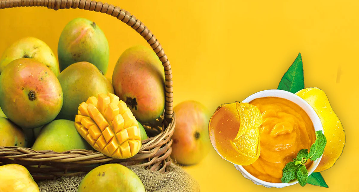 Largest Producer of Mango Pulp & Puree in Asia | Shimla Hills