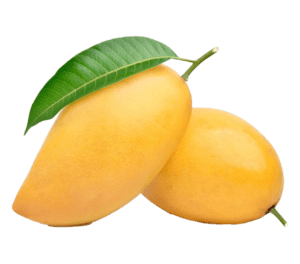 Mango Pulp Premium Tropical Flavors by Shimla Hills