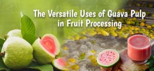 Shimla Hills' Premium Mango Pulp | Tropical Flavors