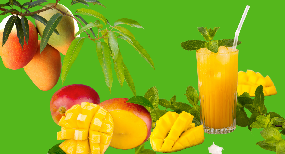 Mango Pulp Exporter in India | Trusted Supplier